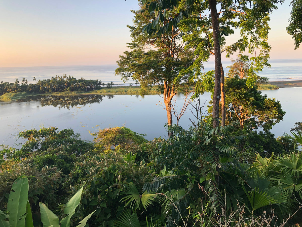 Join NatureArt Lab on our Costa Rica Nature Tour