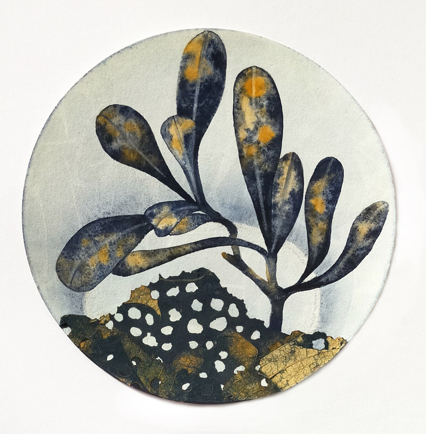 Painting from Nature (Workshop) with Sharon Muir, Art Classes in 2026 ...