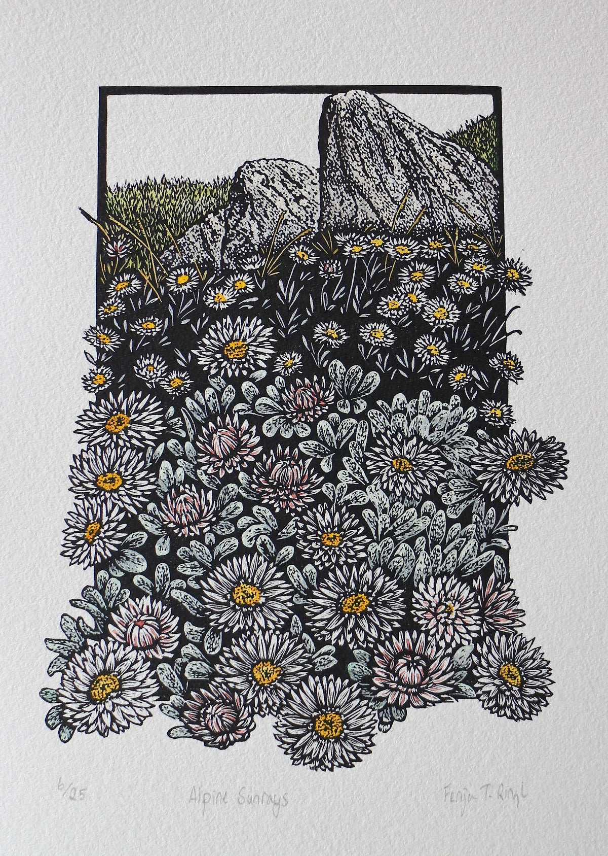 Nature-Inspired printmaking – an Introduction to Linocut and Drypoint ...