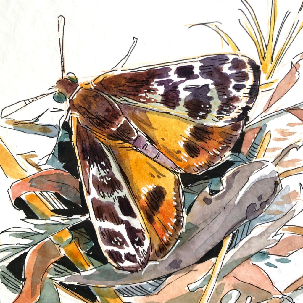 Art School | Art Workshops — NatureArt Lab