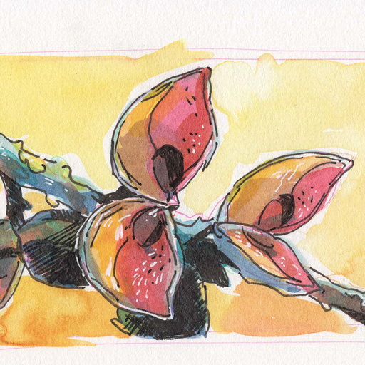 Art School | Art Workshops — NatureArt Lab