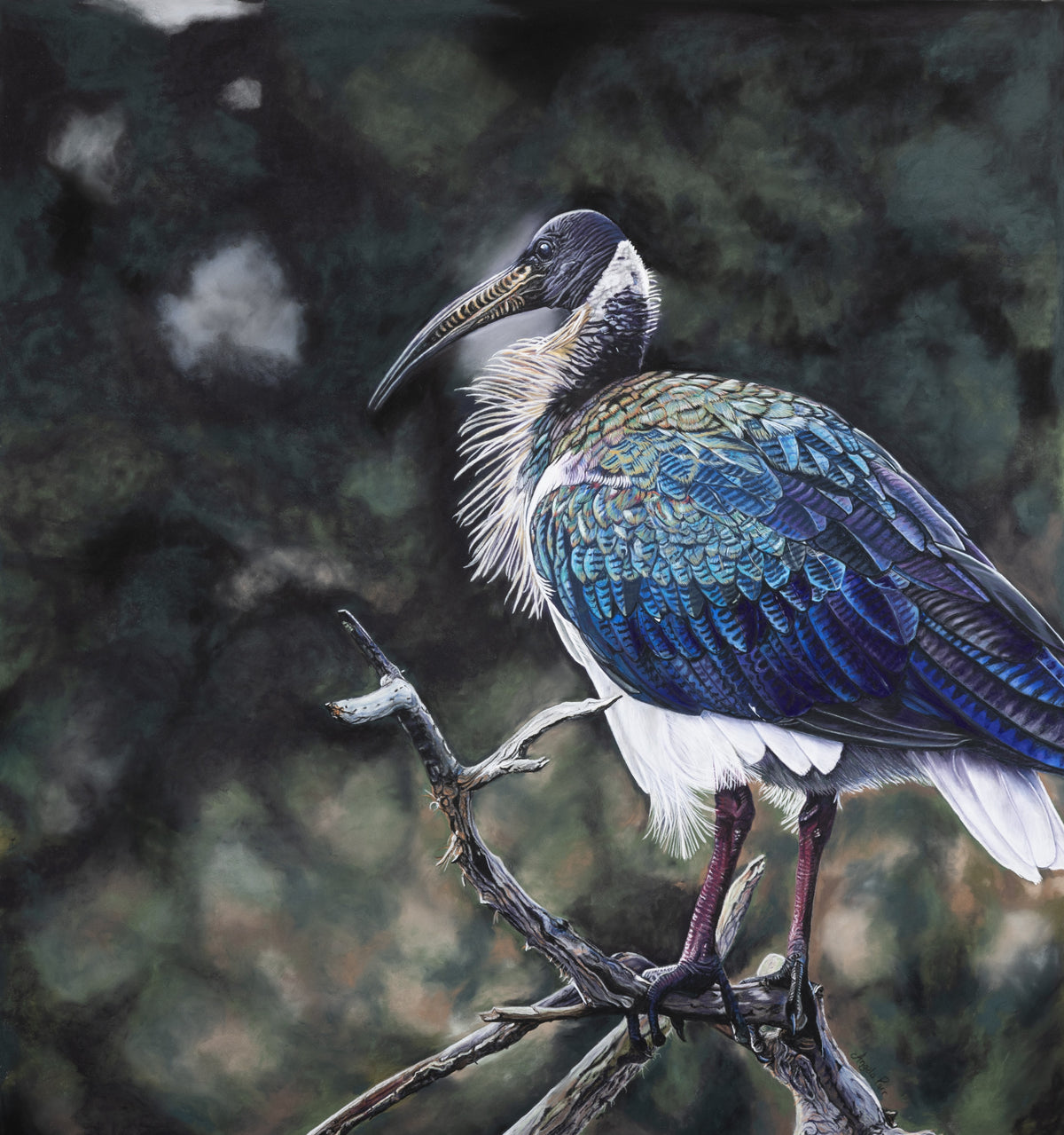 Wildlife in Pastels with Angela Parr — NatureArt Lab