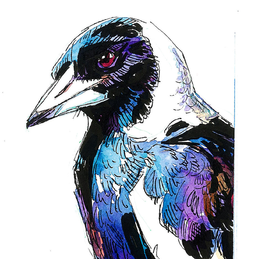 Birds in Pen and Ink with Jessica Riese, Art Classes in Canberra 2025 ...